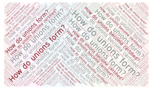 How Do Unions Form and Become Certified in Ontario? - Mann Lawyers