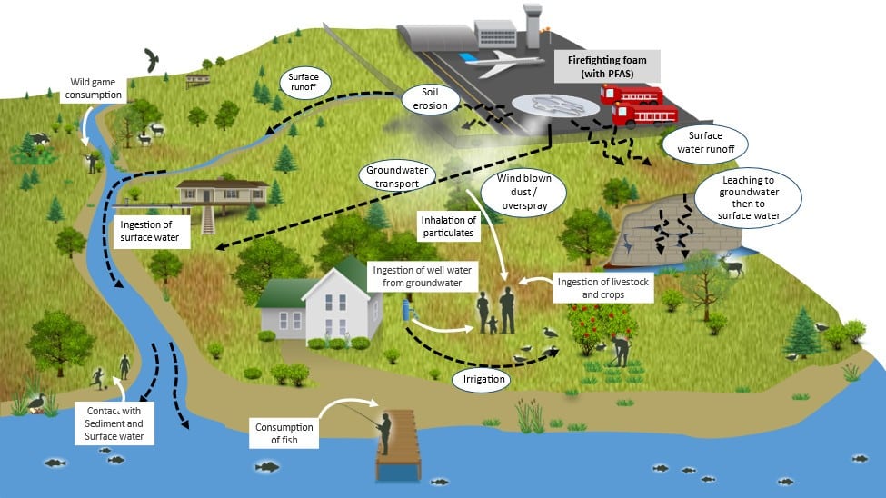 Canada’s Final State of PFAS Report Reveals 100+ Federal Contaminated ...